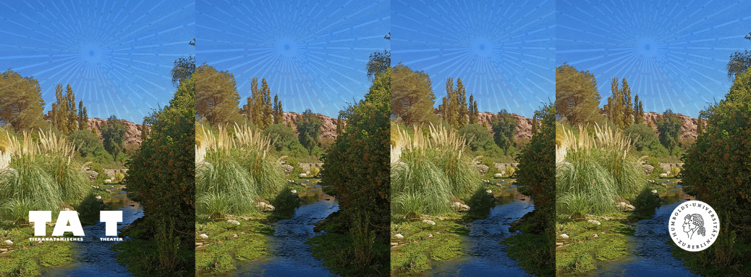 TA T’s Mediation program for Berlin Science Week 2025 Tieranatomisches ...